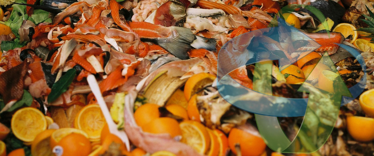 Food waste disposal - Food waste collection - Food waste recycling